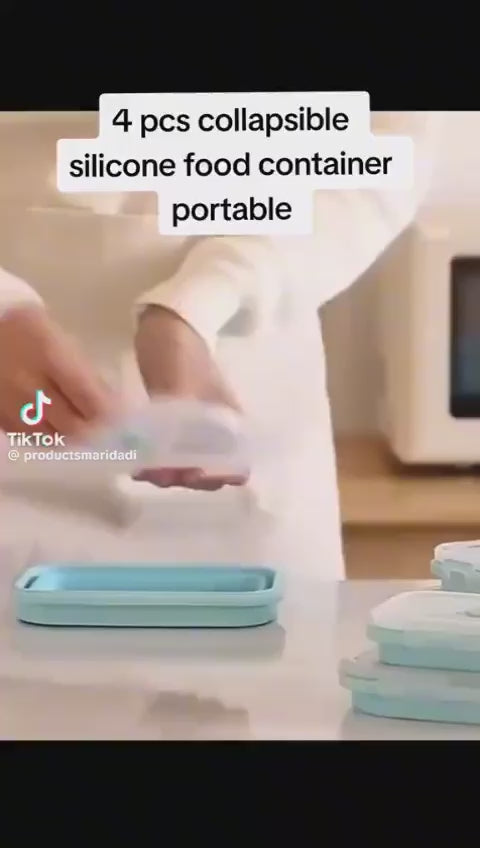 04 - PCS Foldable Silicon Storage Boxes – SUN ONLINE