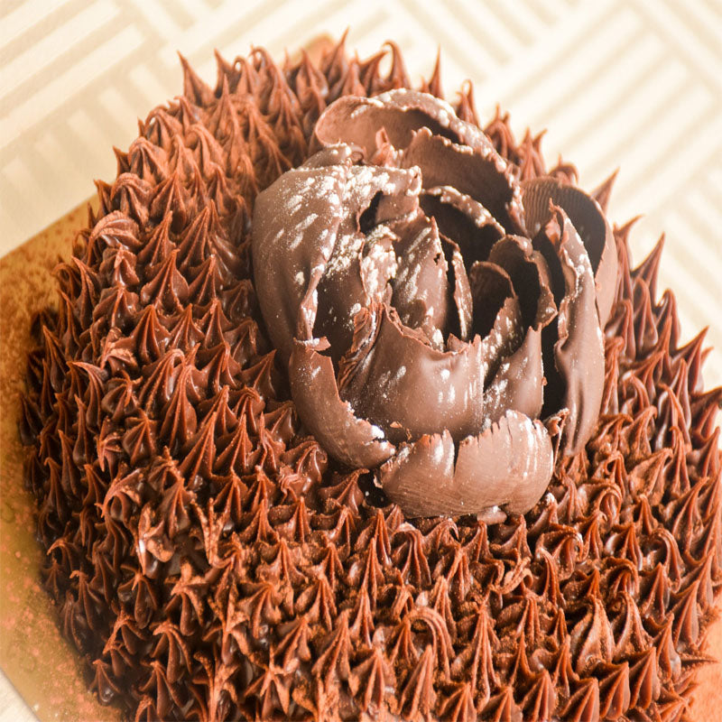Chocolate Forest Cake 1kg – SUN ONLINE